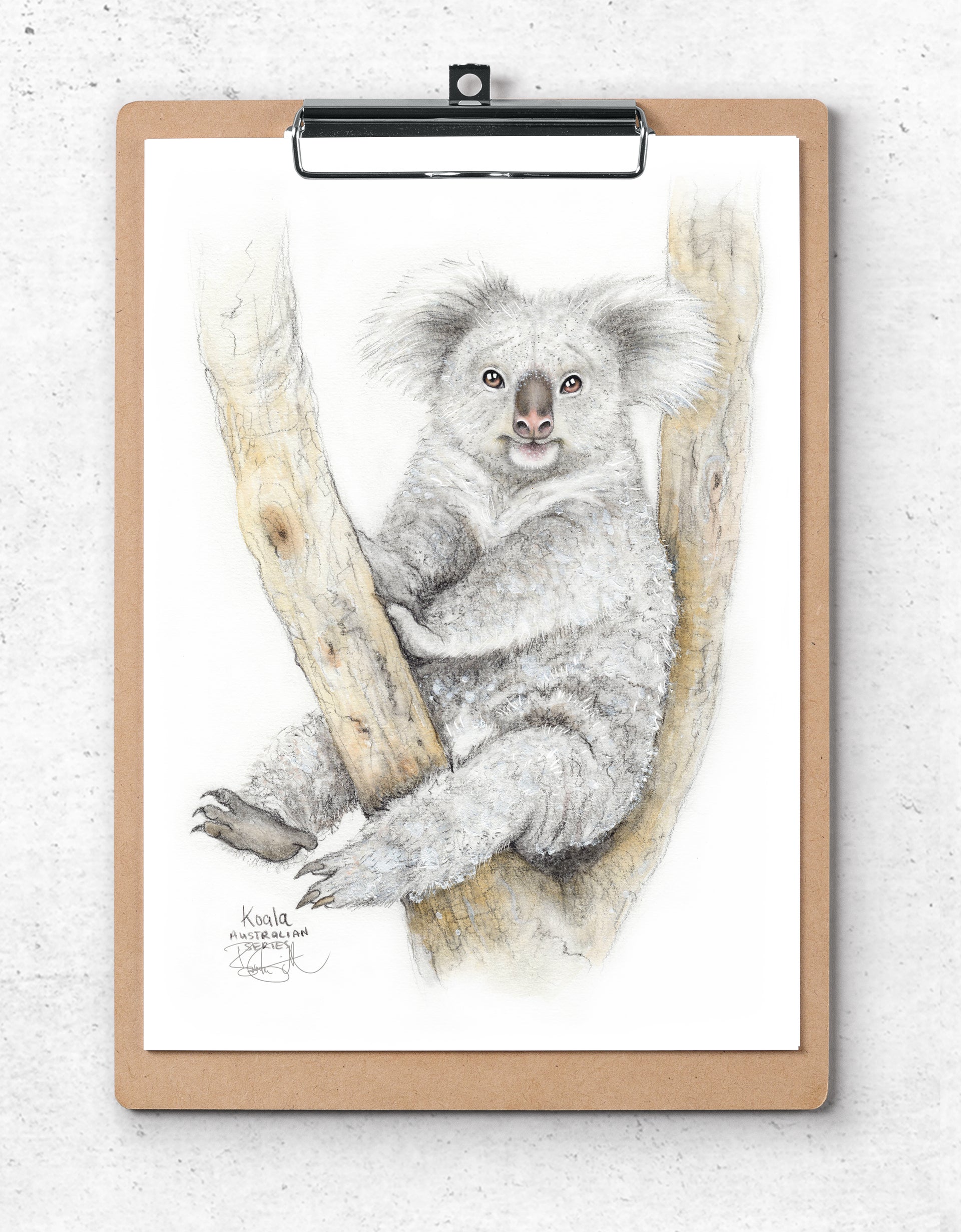 koala clipboard